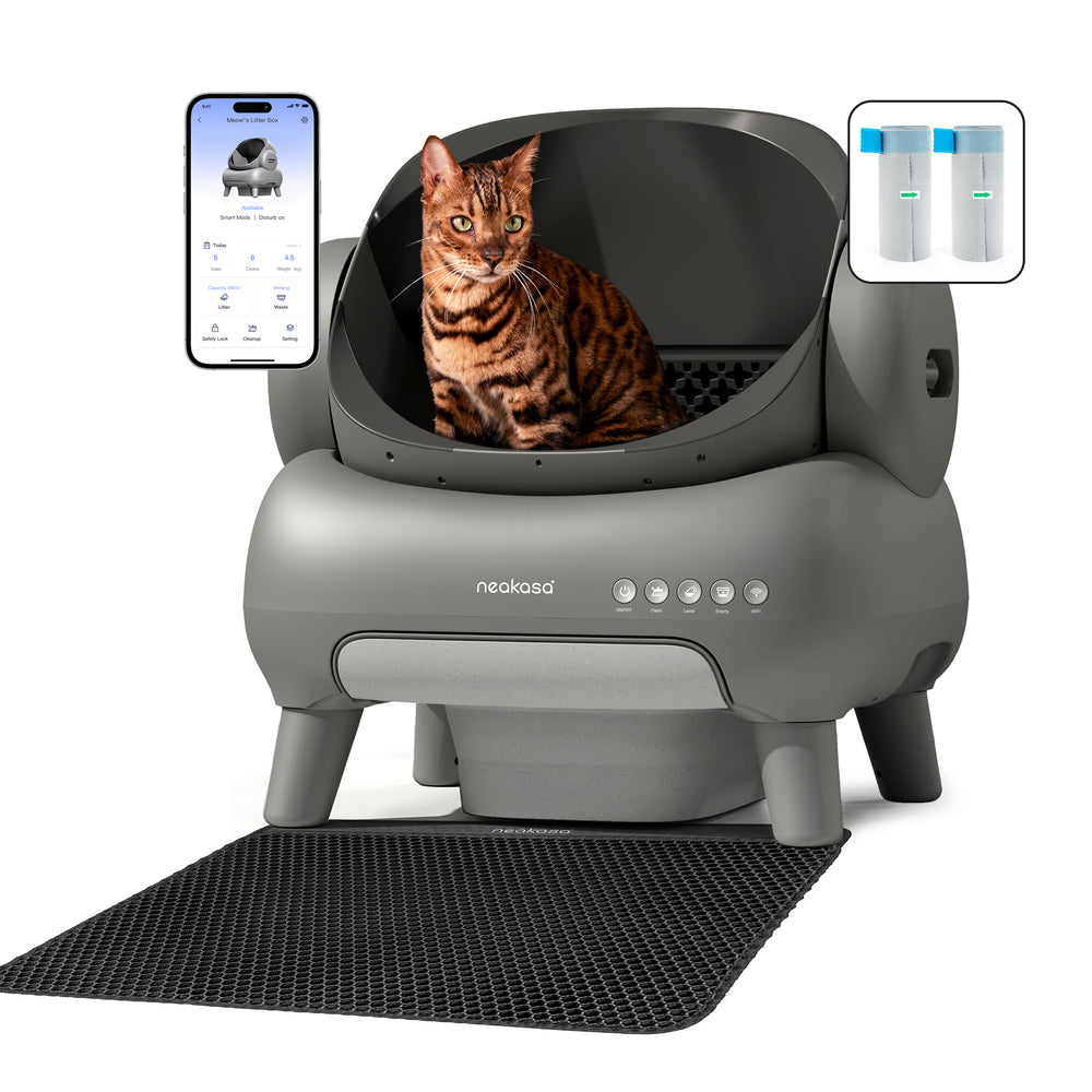 Neakasa M1 Plus Selbstreinigendes Katzenklo, Offenes Design